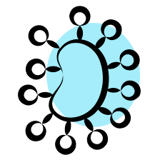 Home - Lamprey Health